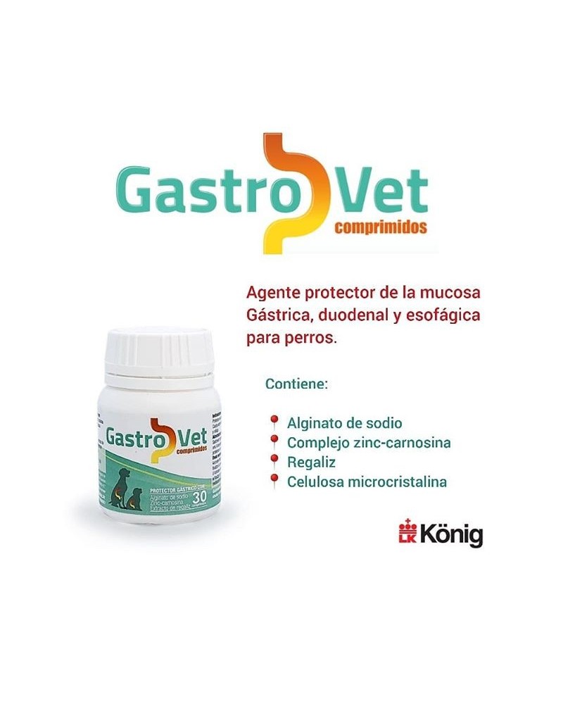 240 Comprimidos Gastrovet protector gástrico perros