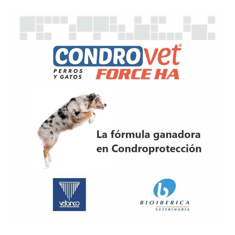 Condroprotector para perros para el desgaste de articulaciones y huesos